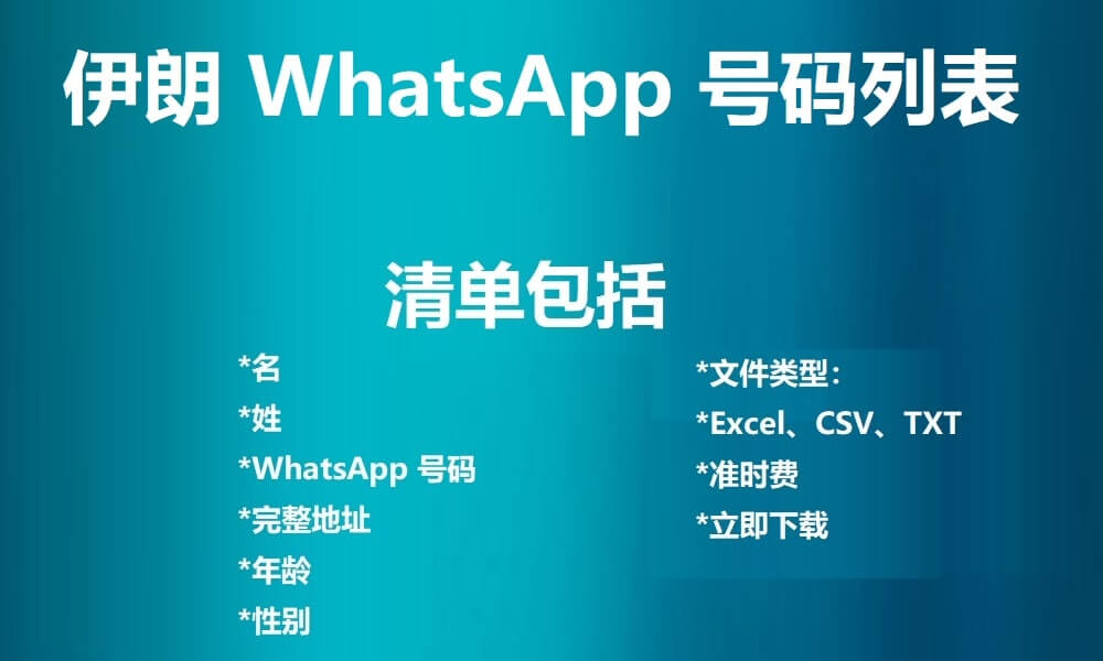  WhatsApp WhatsApp 